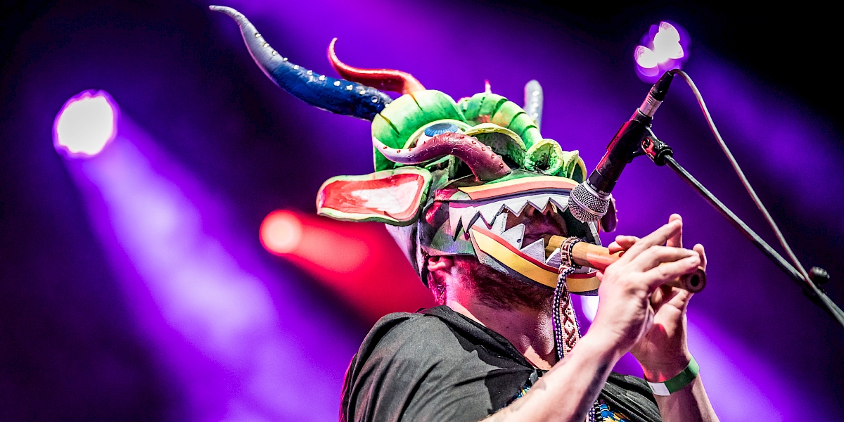 Calle Mambo - Festim